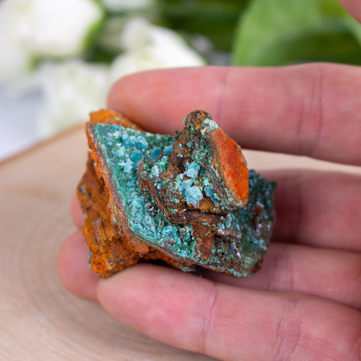 Rosasite on Limonite #1 - The Crystal Council