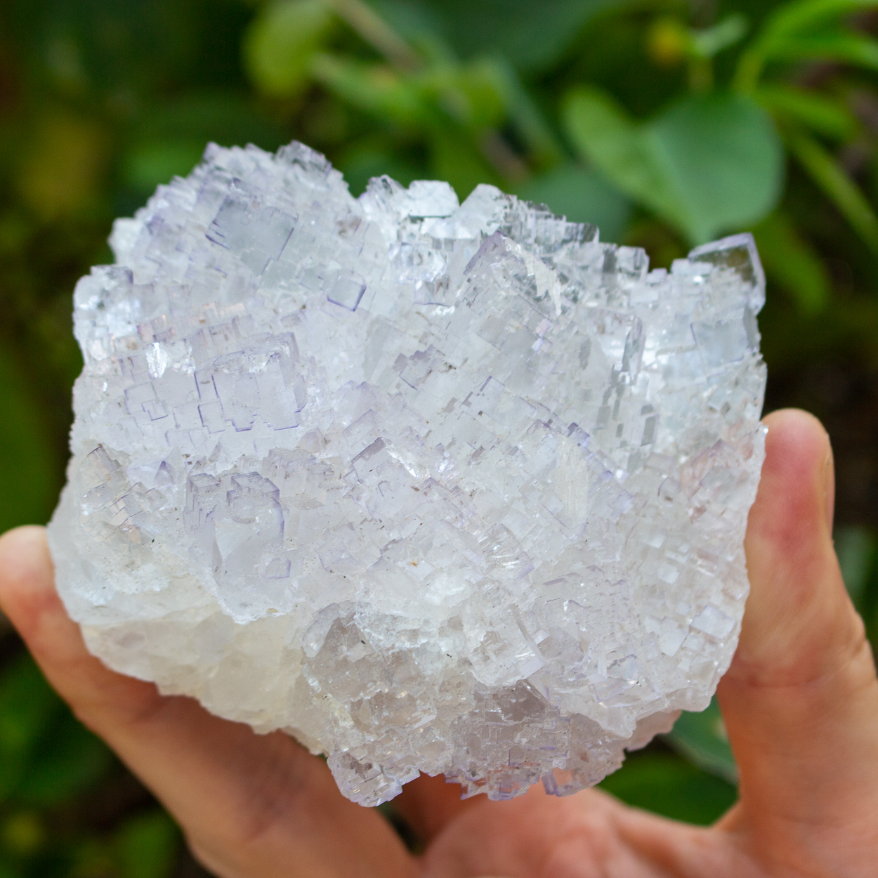 Purple and Clear Fluorite #1 - The Crystal Council
