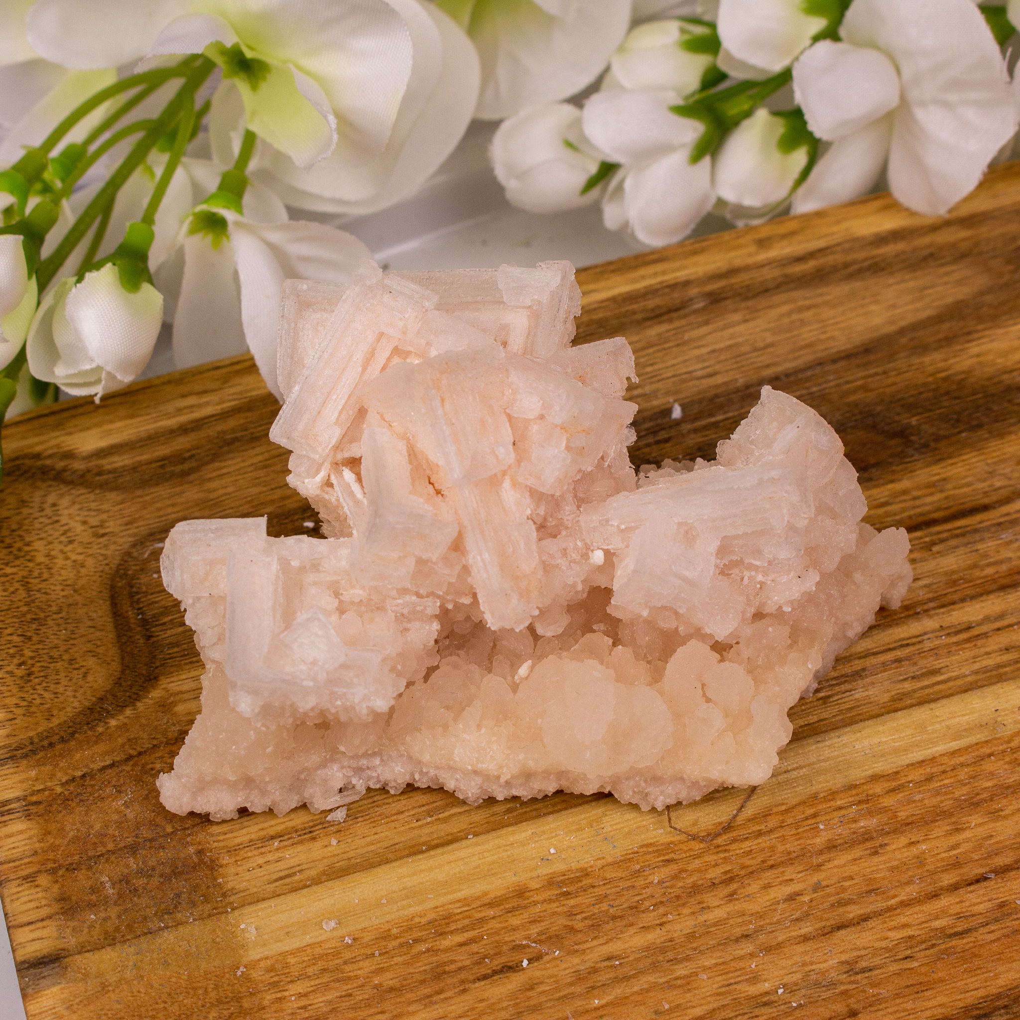 Pink Halite #5 - The Crystal Council