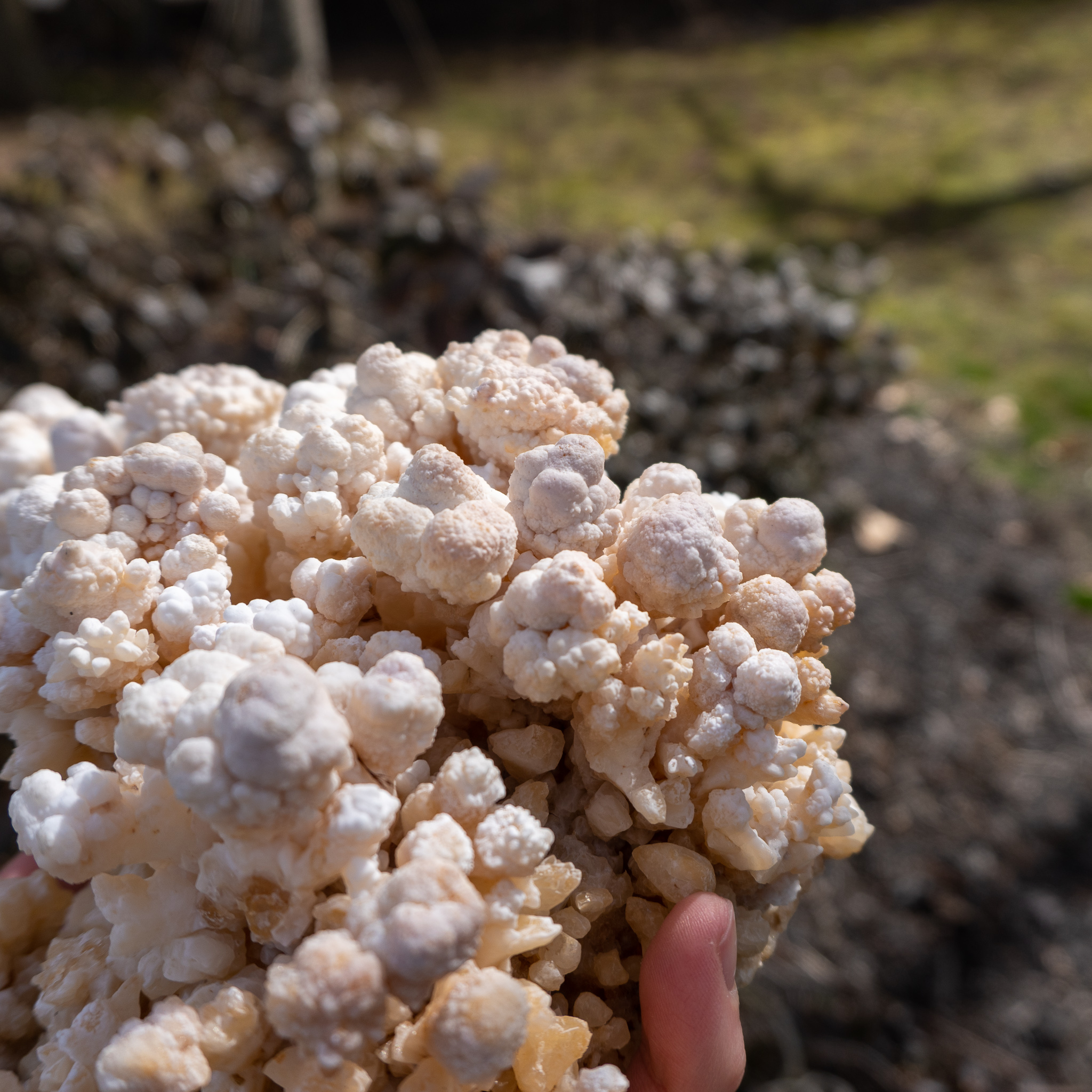 Blue Calcite Meanings and Crystal Properties - The Crystal Council