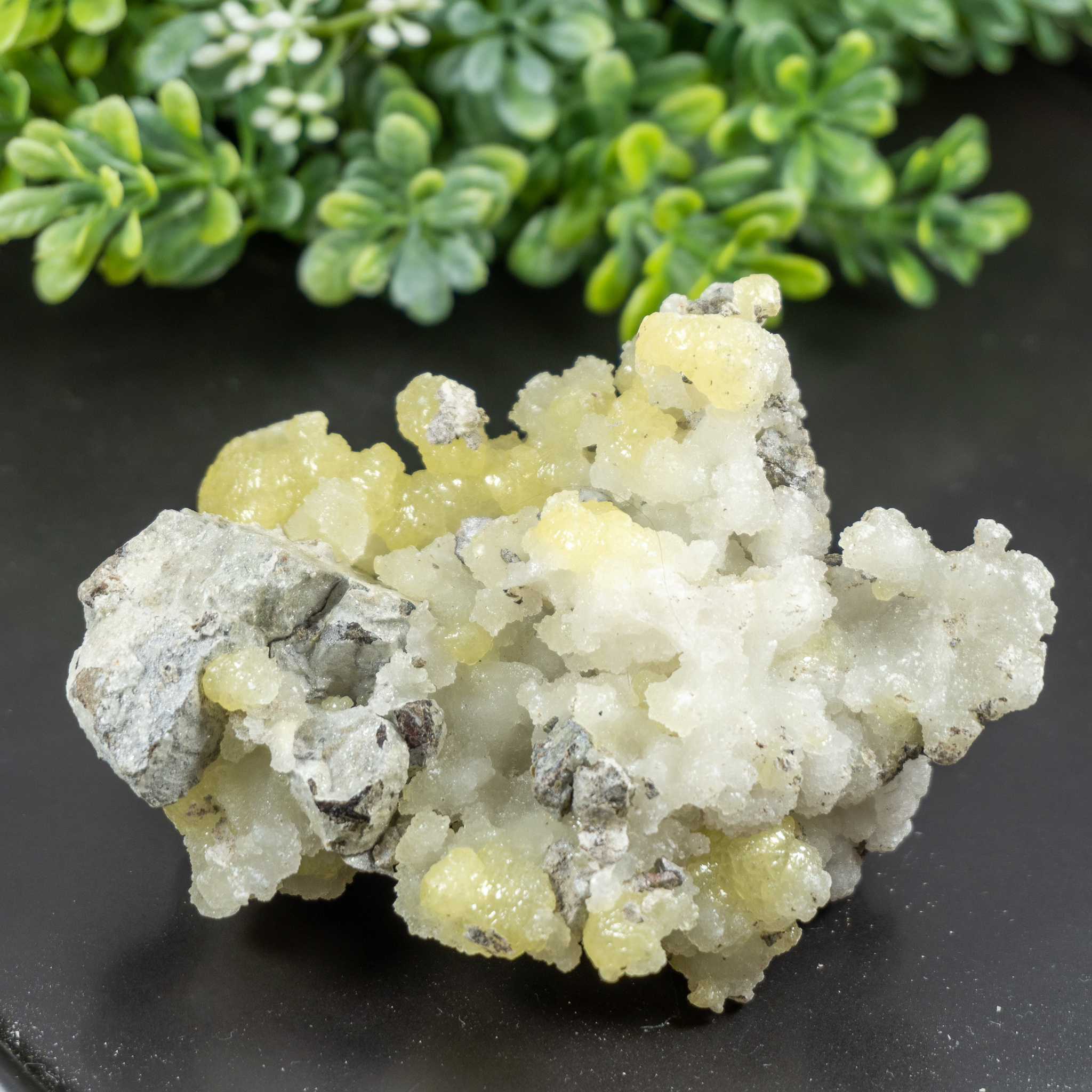 Brucite #2 - The Crystal Council