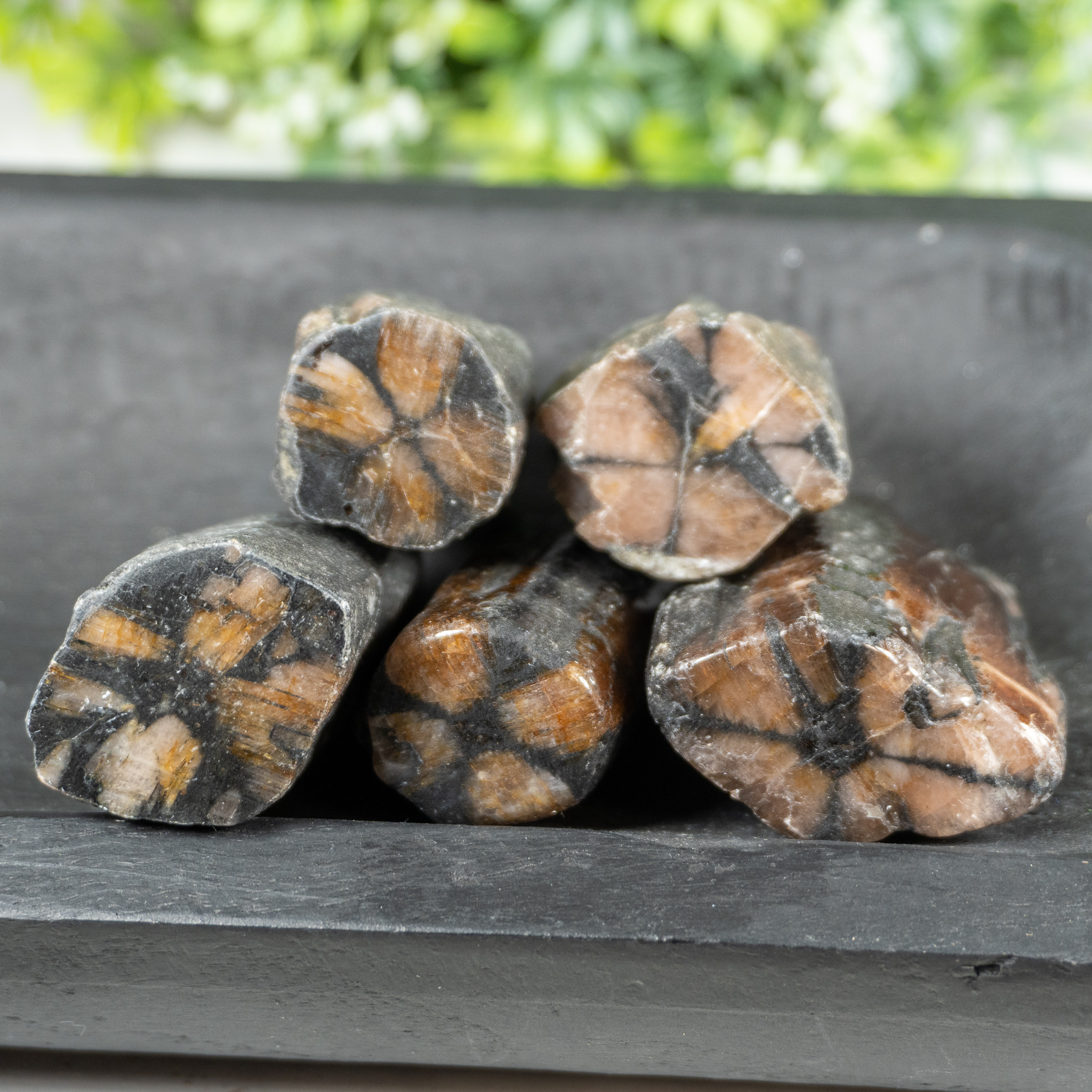 Chiastolite Meanings and Crystal Properties - The Crystal Council